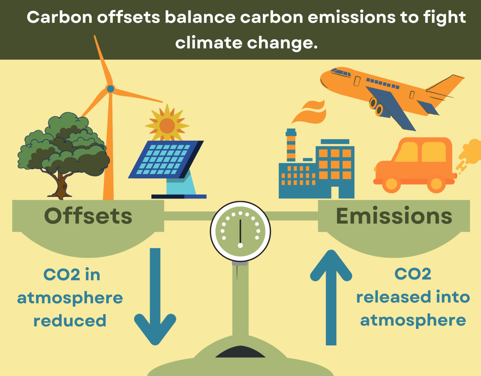 Carbon Offsetting Infographic: Everything You Need to Know about Carbon ...